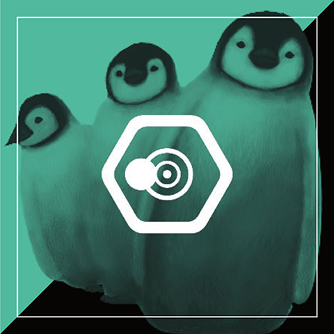 Web3.0・バーチャルプロジェクト【HIS】